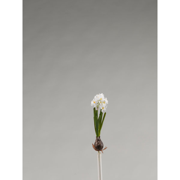 Faux-flower-bulbs | Wayfair