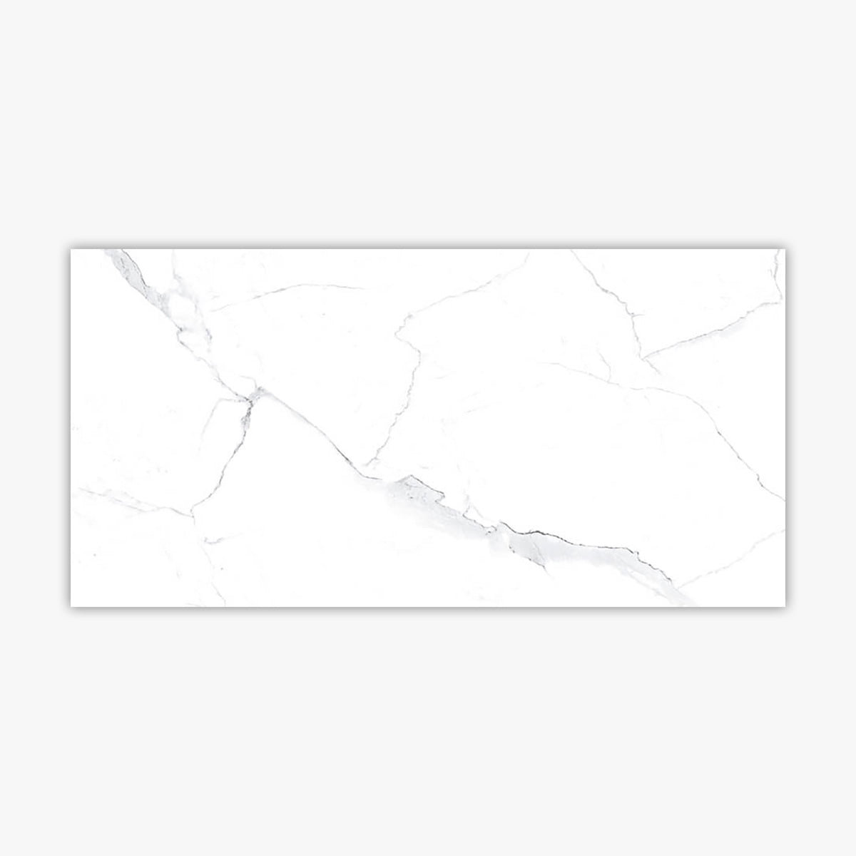 Direct Stone Source 12" x 24" Porcelain Marble Look Tile | Wayfair