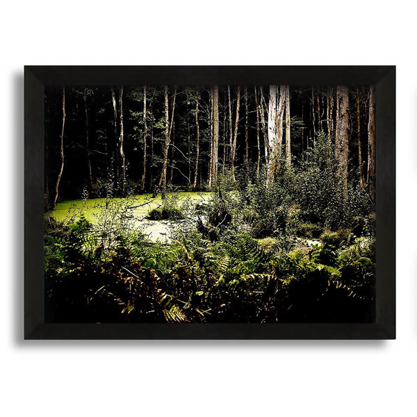 Union Rustic Swamp In The Depth Of The Forest - Picture Frame ...
