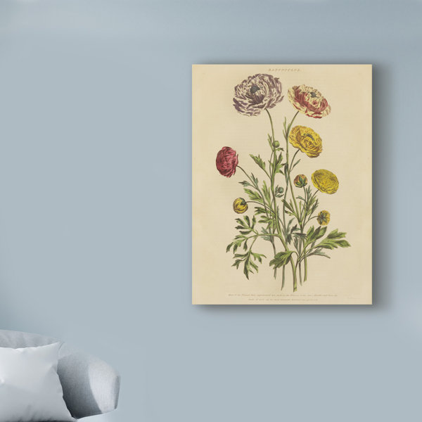 Herbalist | Wayfair