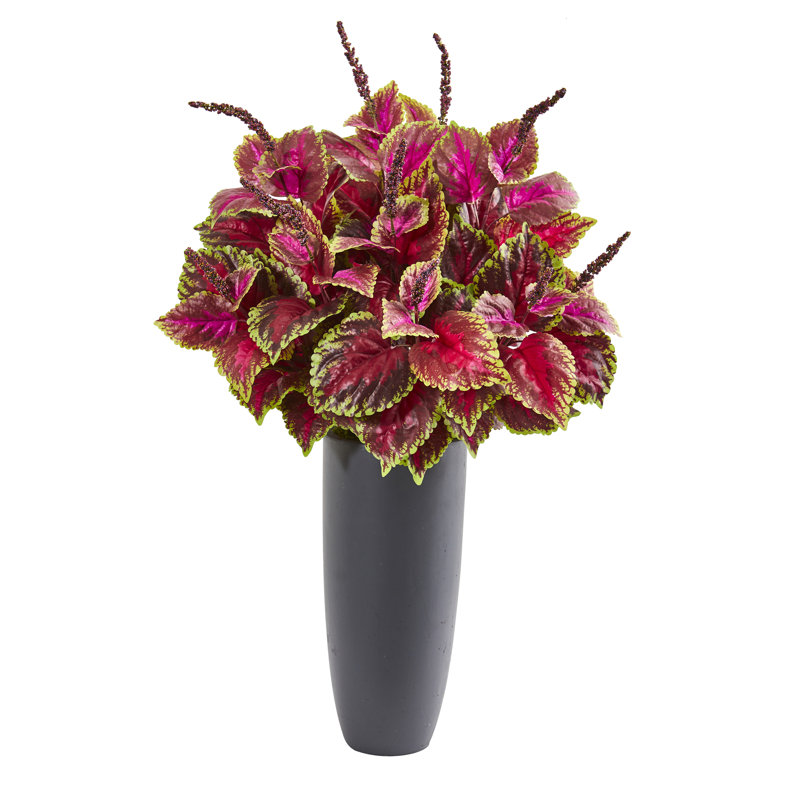 World Menagerie Artificial Coleus Plant in Planter | Wayfair