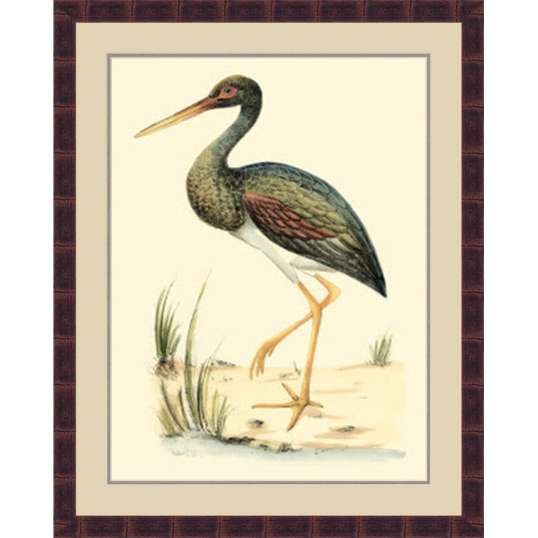 GlobalDesigns Water Birds II - Picture Frame Graphic Art & Reviews ...