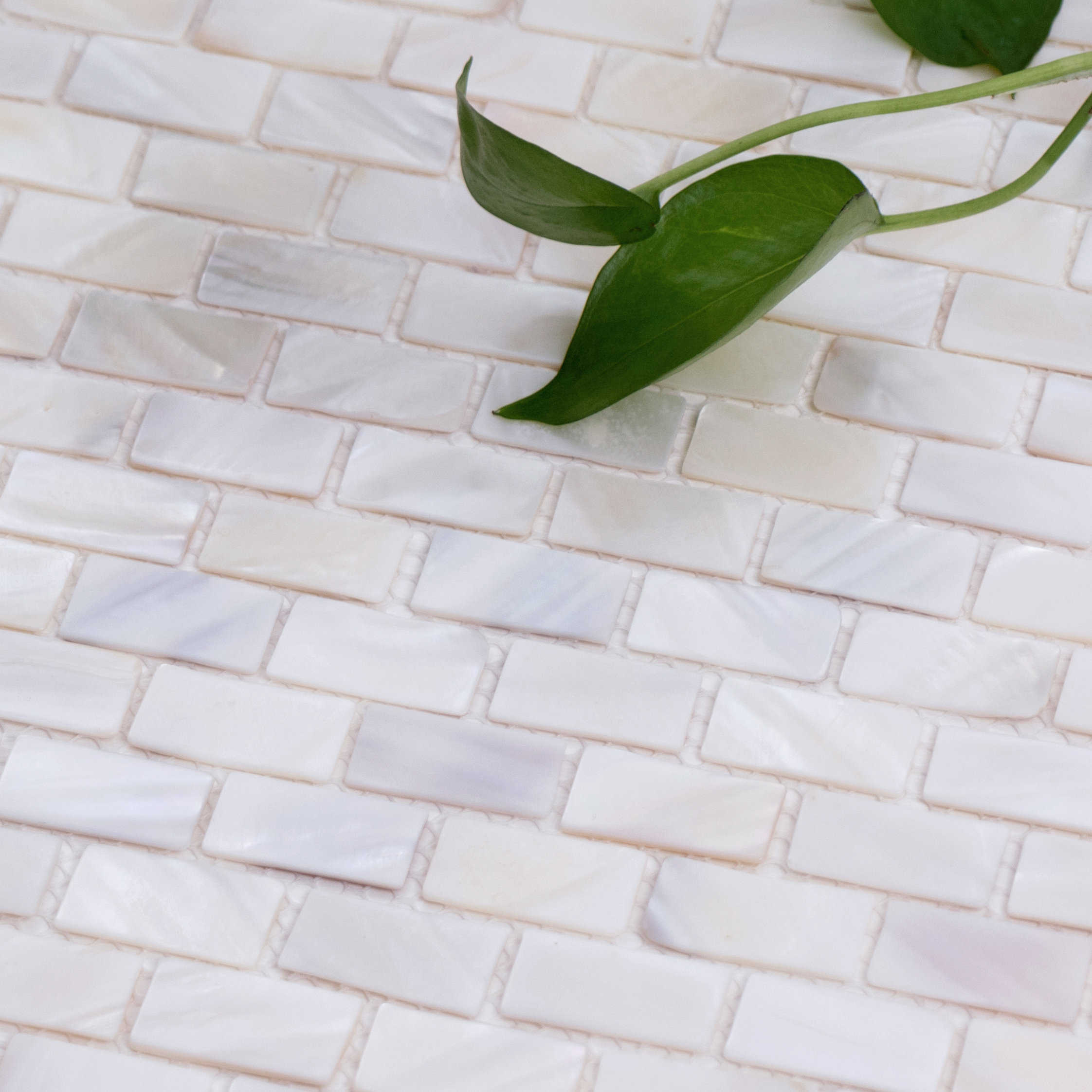 WS Tiles Mother of Pearl 0.6" x 1.2" Seashell Brick Joint Mosaic Sheet ...