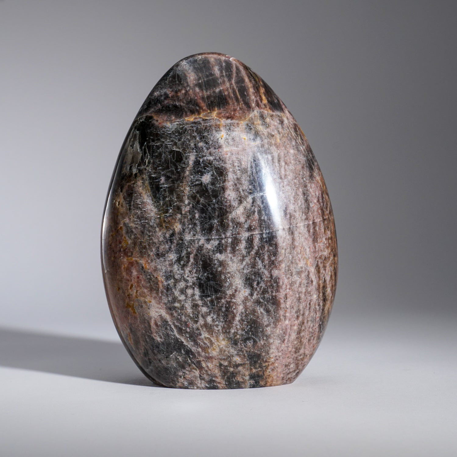 Astro Gallery of Gems Genuine Polished Black Moonstone Freeform from ...