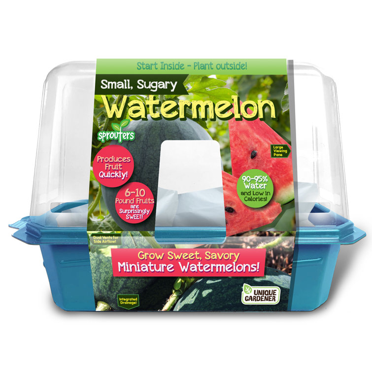 Silver Circle Products Small, Sugary Watermelon Growing Kit | Wayfair