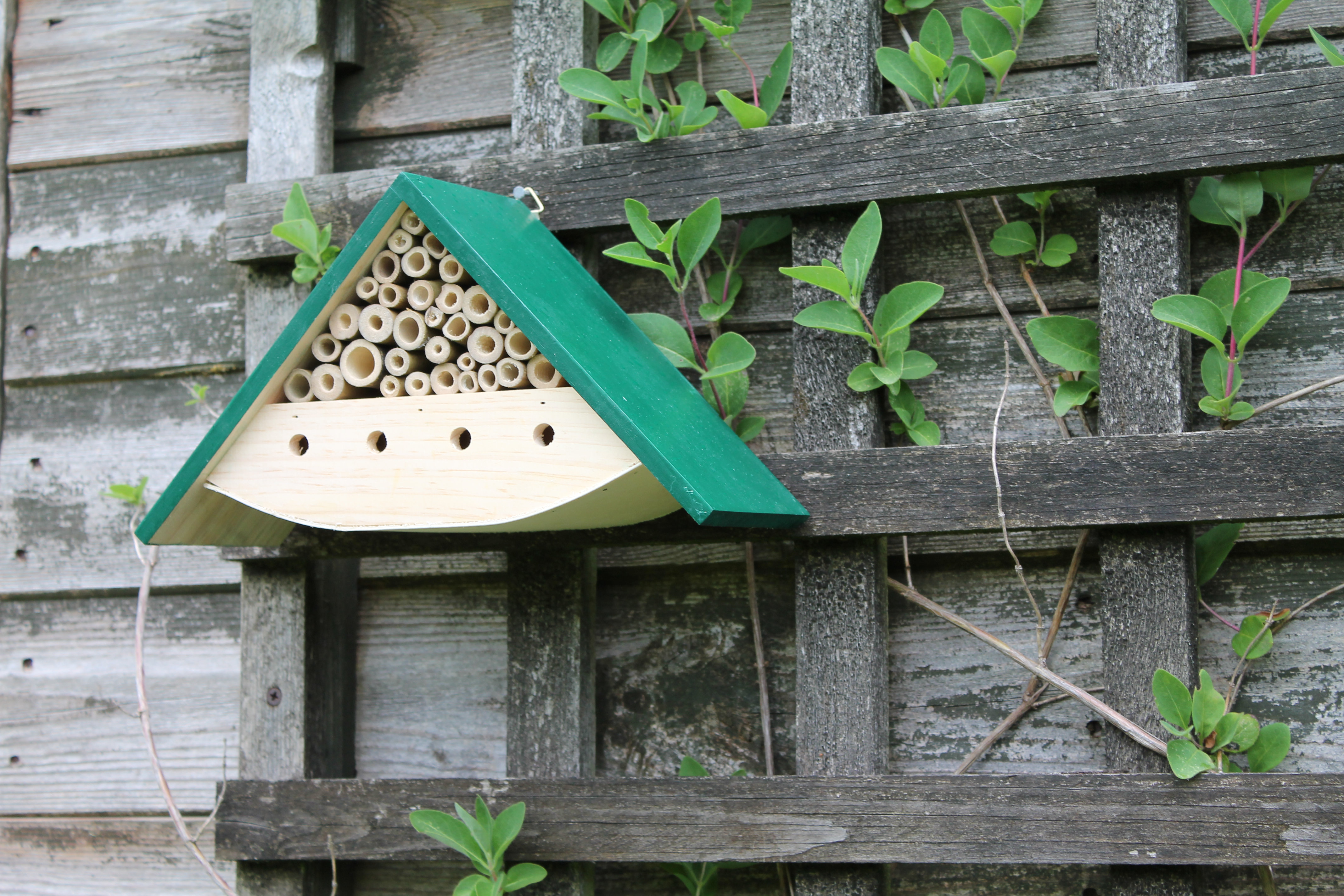 Dakota Fields Ormar Mounted Bumblebee House | Wayfair.co.uk