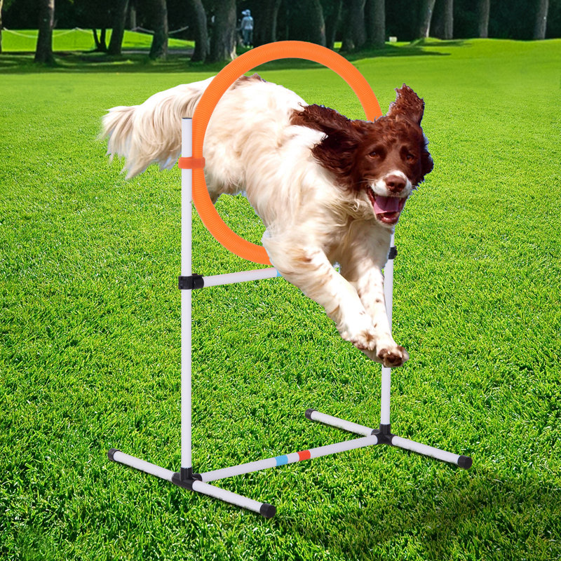 Pawhut 2-in-1 Dog Obstacle Training Agility Equipment Tire Jump Ring ...
