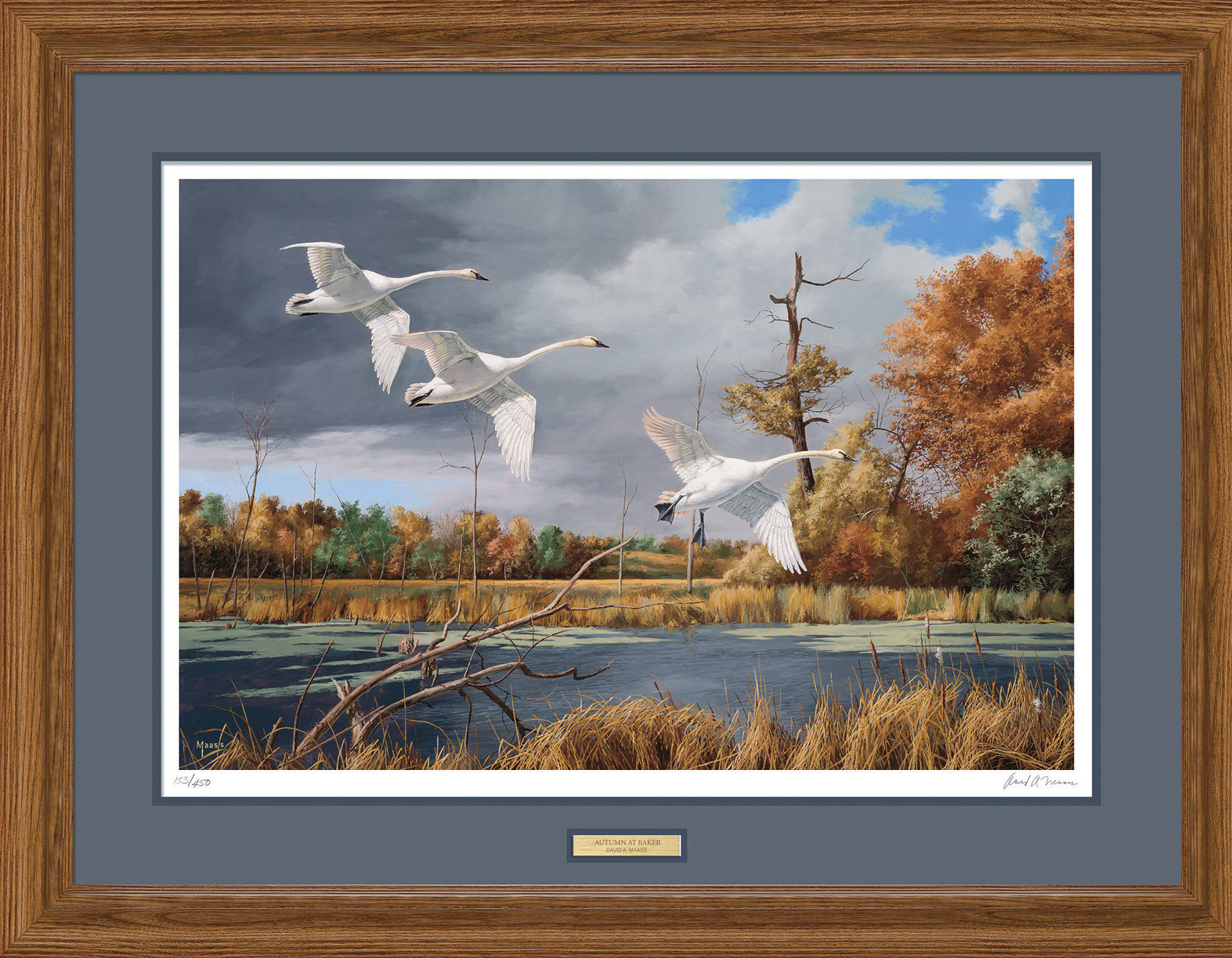 WildWings David Maass - Print on Canvas | Wayfair
