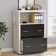 Inbox Zero 2-Drawer Lateral Filing Cabinet | Wayfair