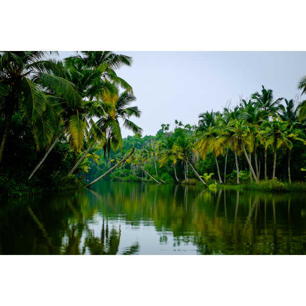 Bay Isle Home The Backwaters-Kerala by - Wrapped Canvas Photograph ...