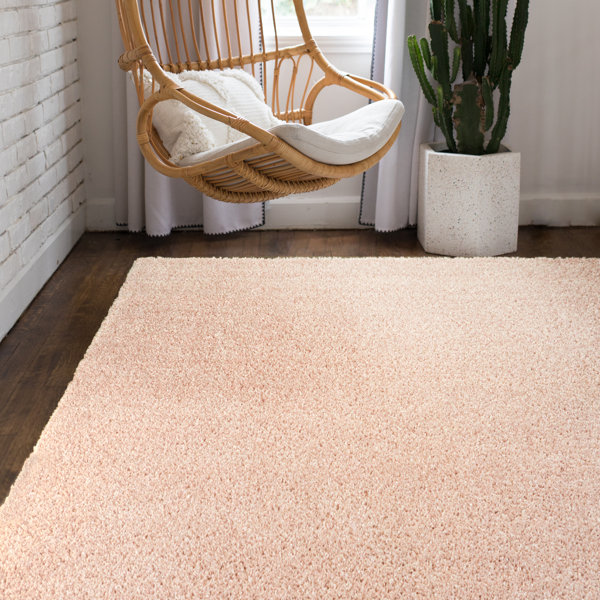 Wayfair Basics® Shag Pink Area Rug & Reviews | Wayfair