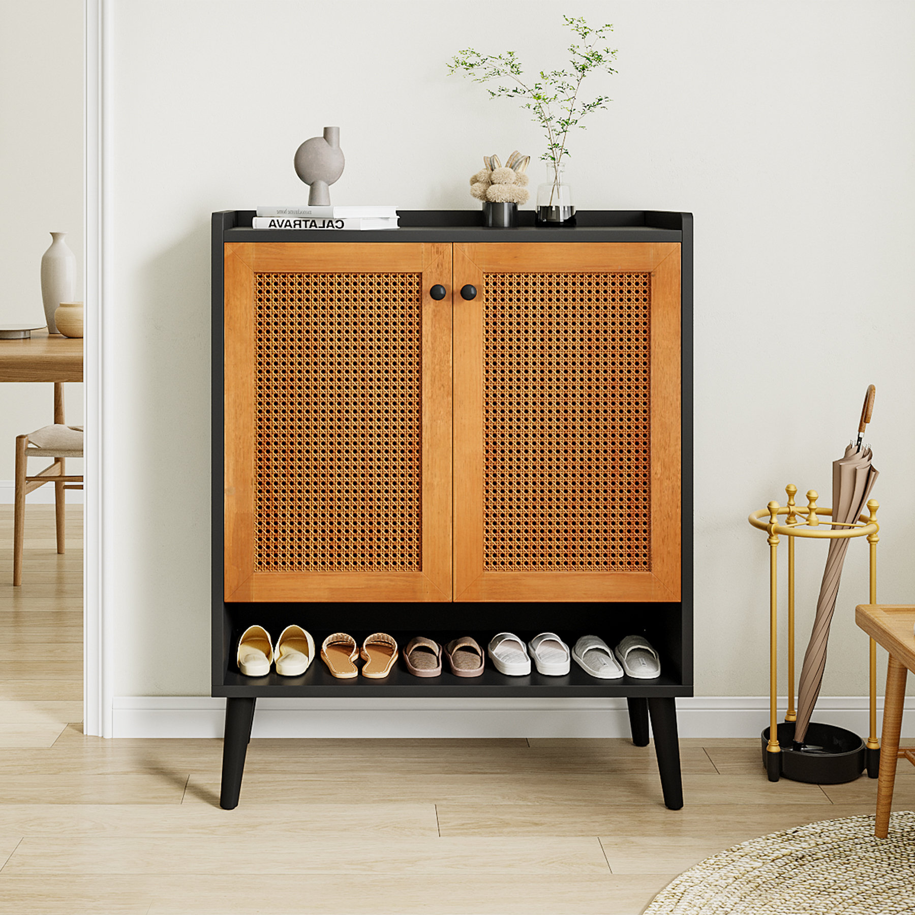 Bayou Breeze Rattan Shoe Storage Cabinet with Doors | Wayfair