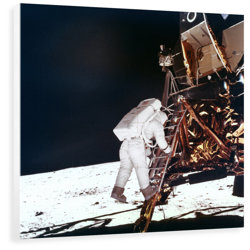 East Urban Home Edwin Buzz Aldrin Descends the Steps of the Lunar ...