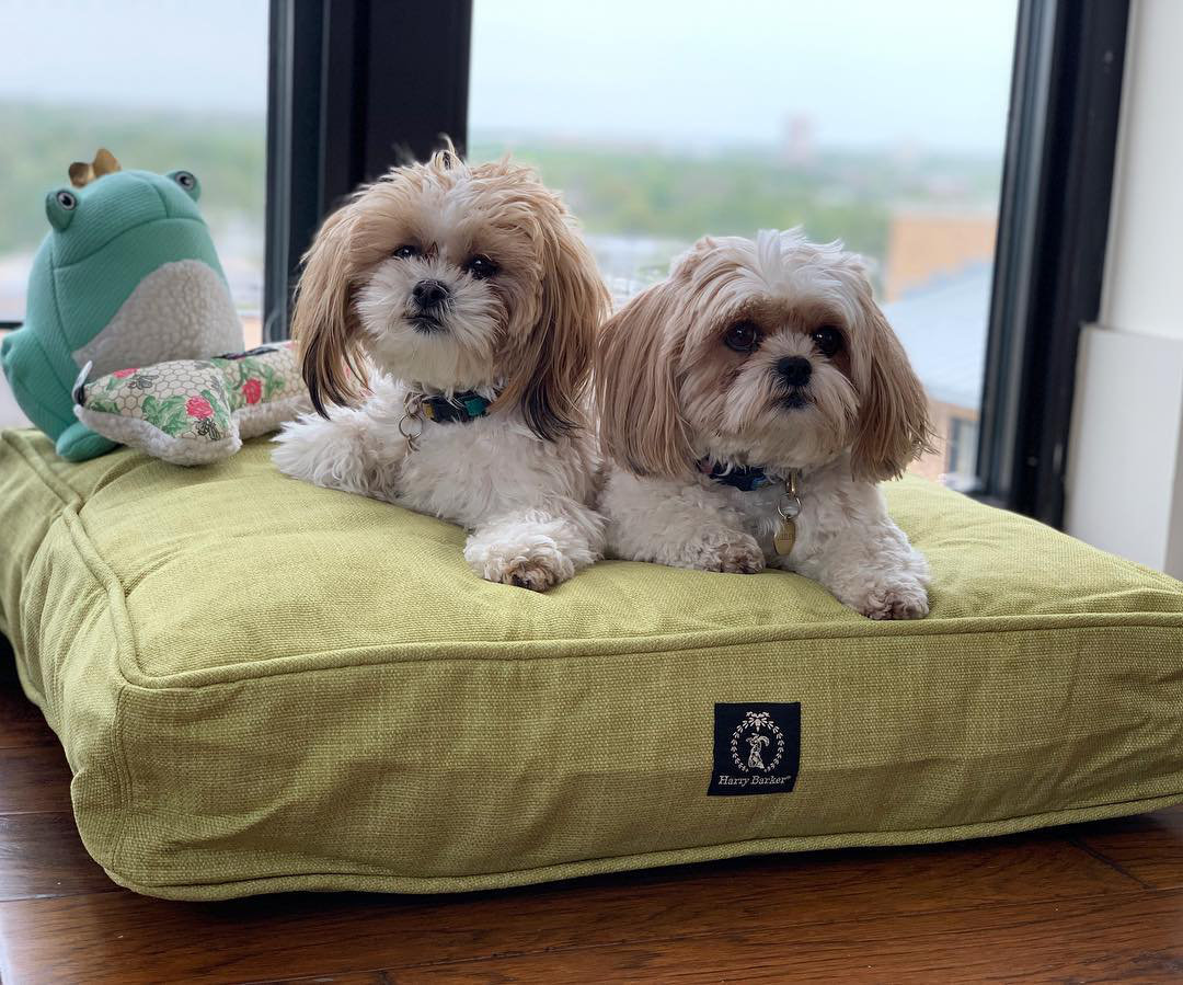 Harry Barker Heather Rectangle Dog Bed Small Dark Grey | Wayfair