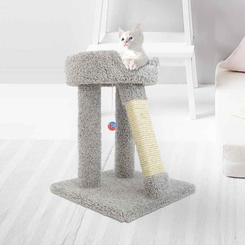 New Cat Condos 24" Premier Elevated Cat Perch & Reviews | Wayfair