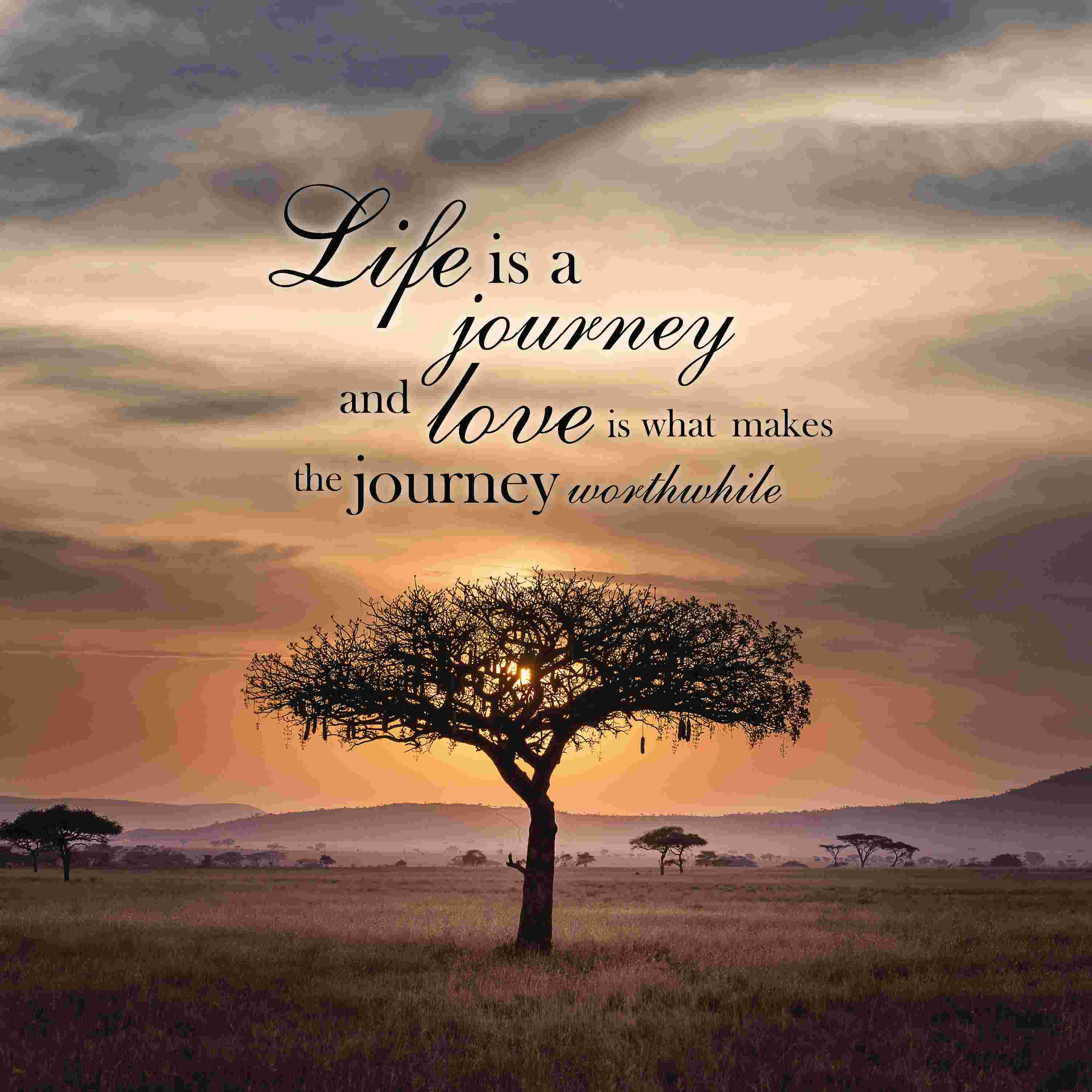 Trinx Love Journey Tree by - on | Wayfair