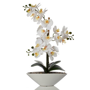 Primrue Artificial Real Touch Orchids Floral Arrangement in Pot ...