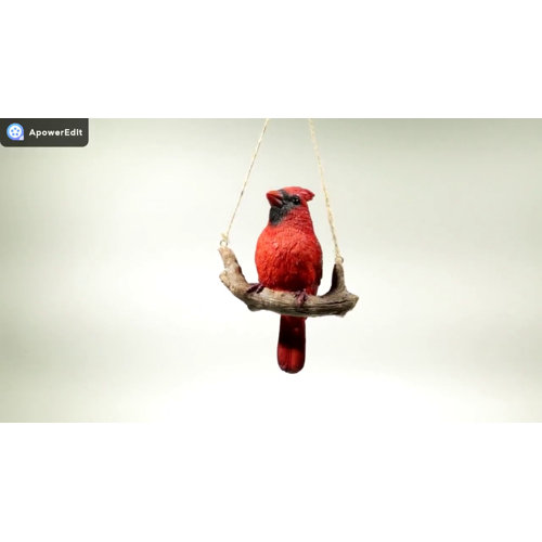 Hi-Line Gift Ltd. Hanging Cardinal on a Branch & Reviews | Wayfair