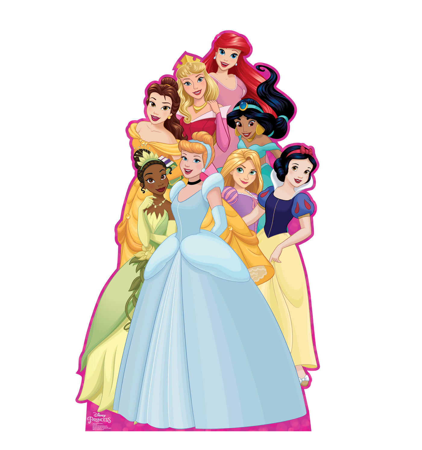 Advanced Graphics Princess Group Cardboard Standup | Wayfair