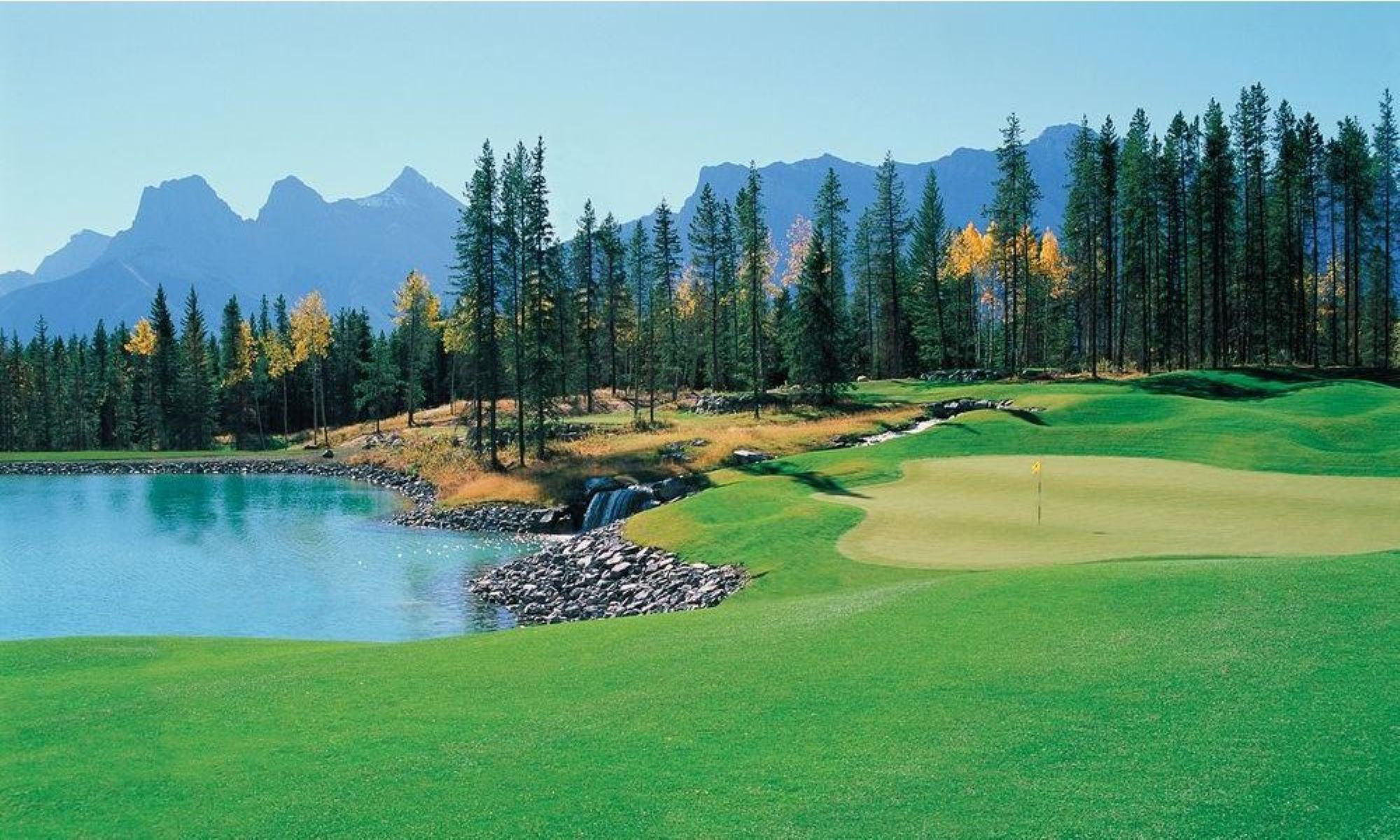 Millwood Pines Golf Window Decal | Wayfair