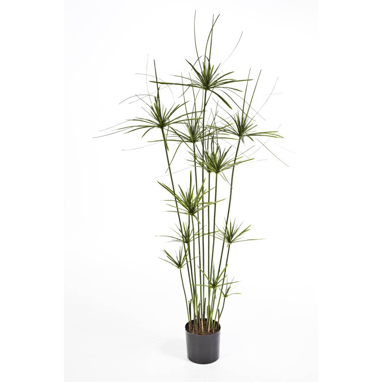 artplants.de RAMSES Faux Papyrus Plant in Pot | Wayfair.co.uk