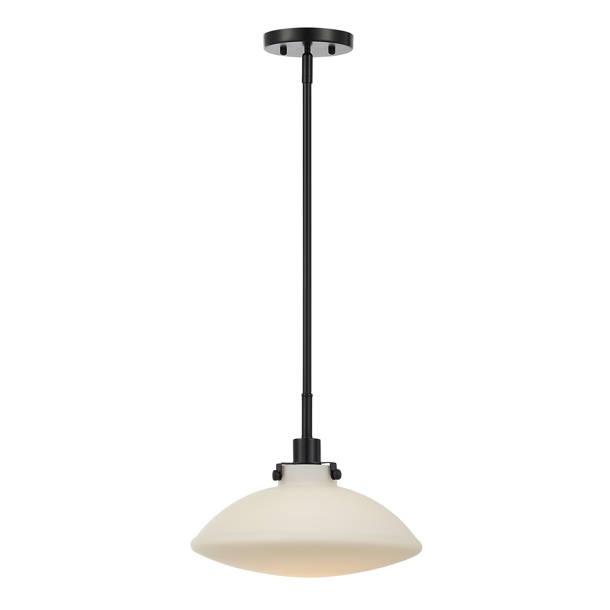 Longshore Tides Hayes Wall Light & Reviews | Wayfair