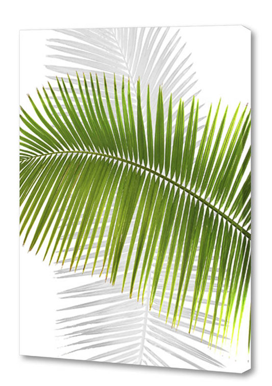 Menaul Fine Art 'Palm Frond' by Scott J. Menaul Graphic Art on Wrapped ...