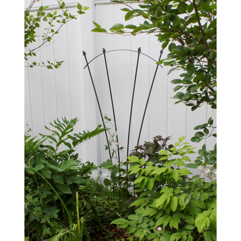 Charlton Home® Goldenberg Steel Fan Trellis & Reviews | Wayfair