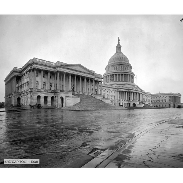 Capitolnne | Wayfair