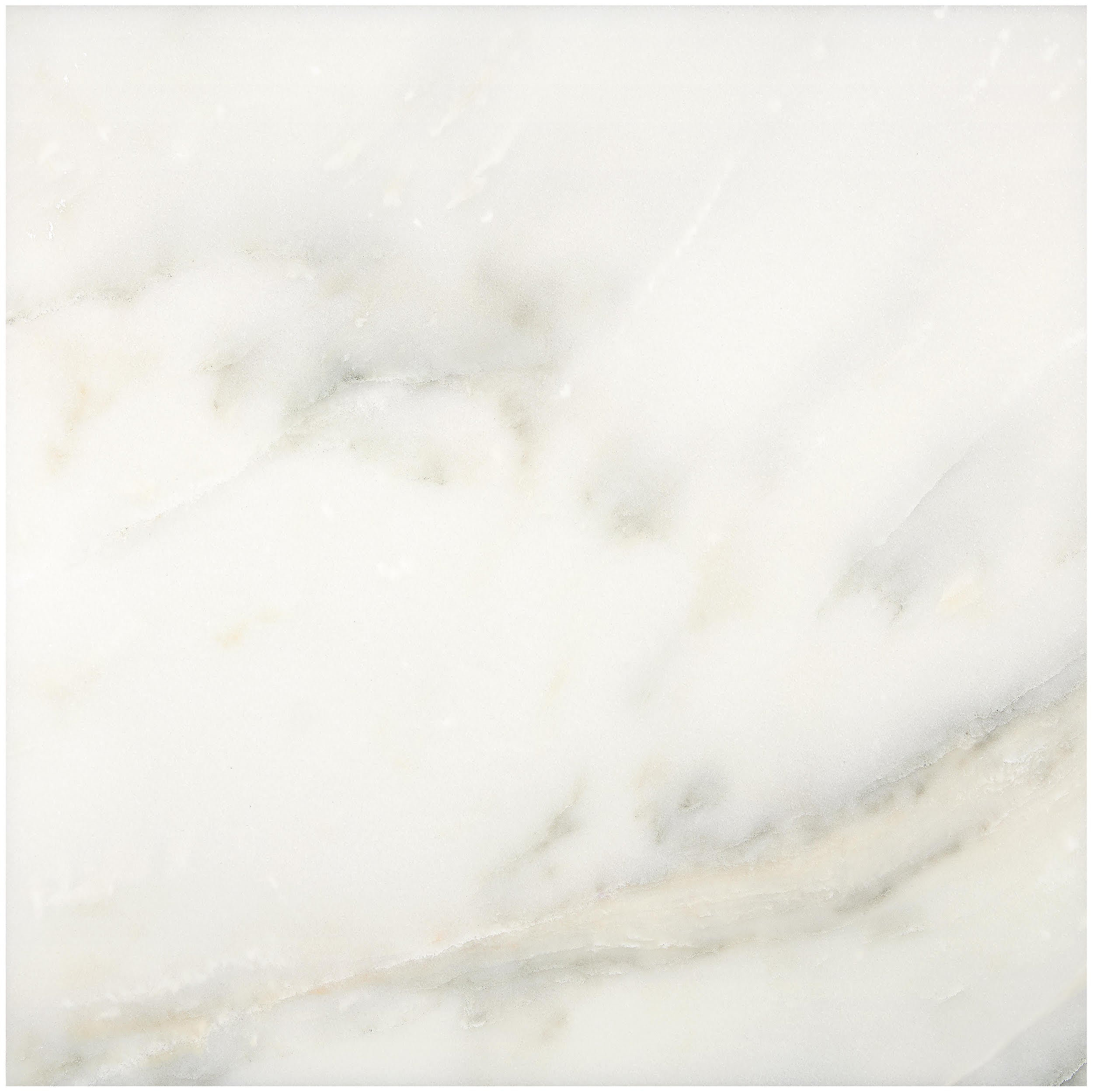 Stone & Tile Shoppe, Inc. 18" x 18" Marble Marble Look Wall & Floor ...
