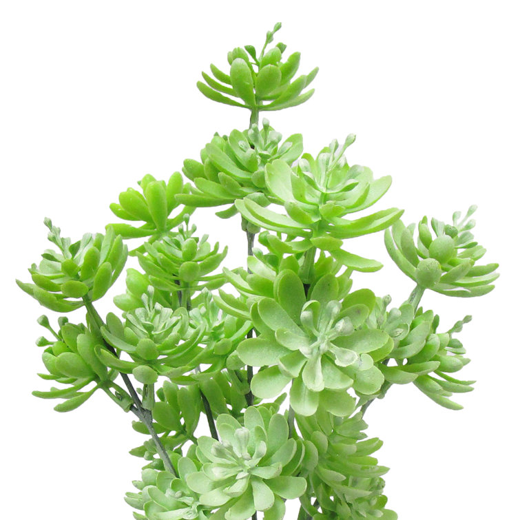 World Menagerie 12" Artificial Gem Lotus Succulent Plant | Wayfair