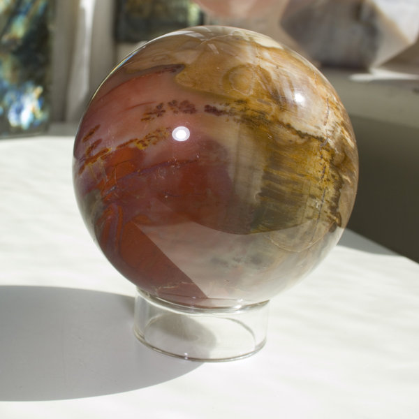 Dakota Fields Arhaam Large Petrified Sphere | Wayfair