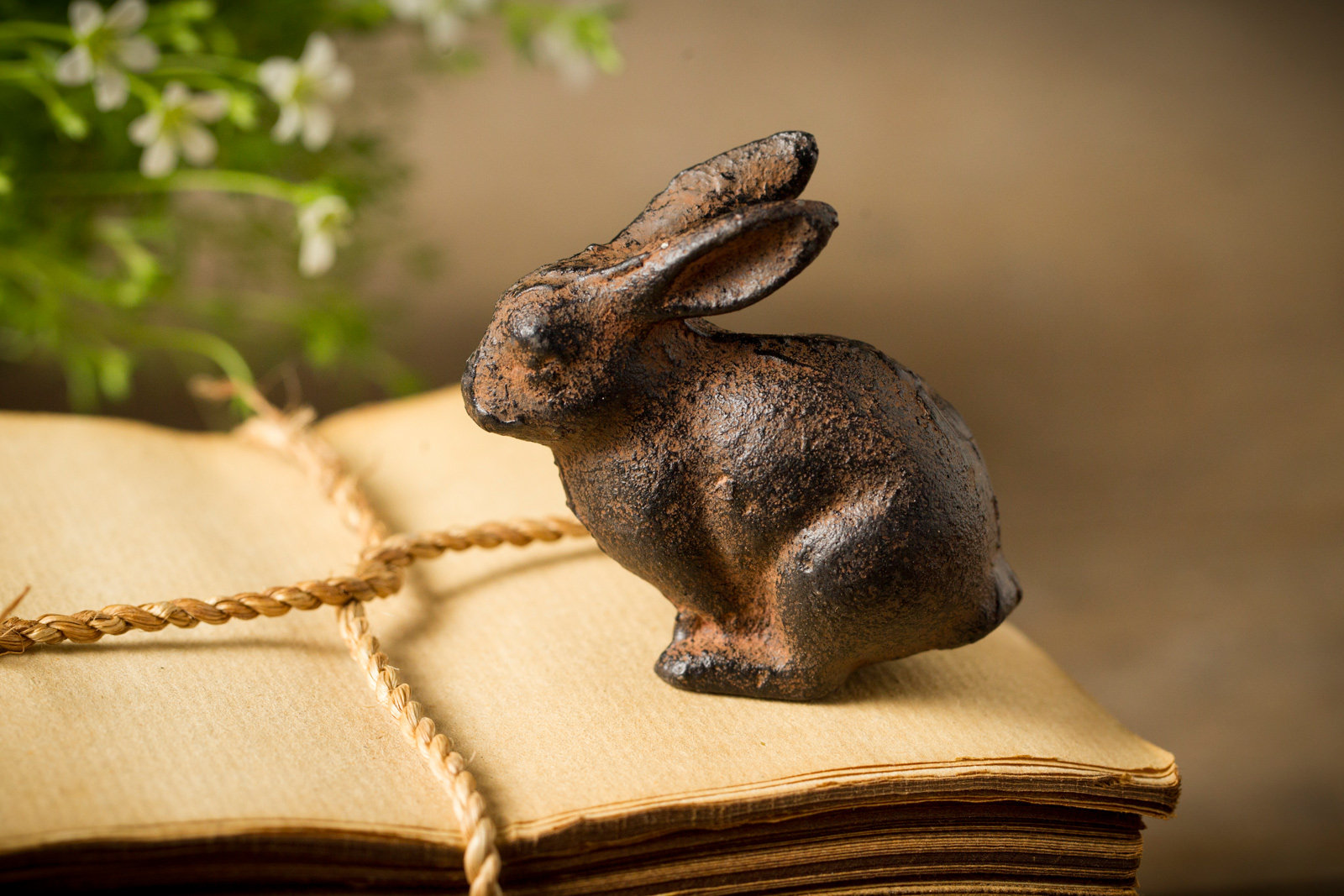 Charlton Home® Tignall Cast Iron Bunny Rabbit & Reviews | Wayfair