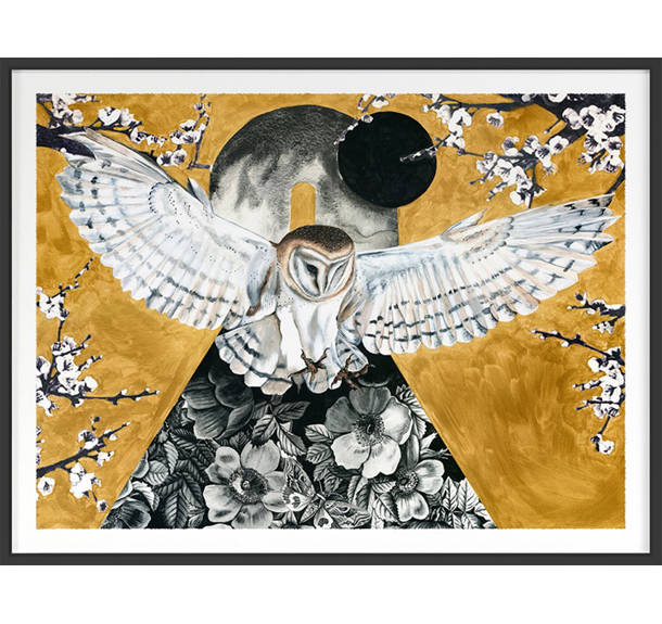 Grand Image Entomology Beetles Chart by Thicket Design - Framed ...