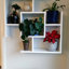 Corrigan Studio® Caron Wall Shelf & Reviews | Wayfair