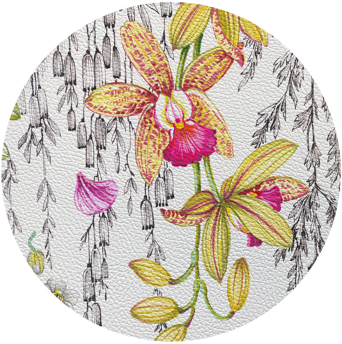 Nicolette Mayer Orchid Pangea Placemat Set | Wayfair