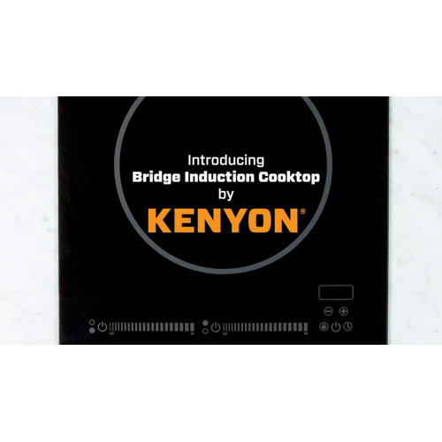 Kenyon Bridge 21" Induction Cooktop with 2 Elements - Wayfair Canada