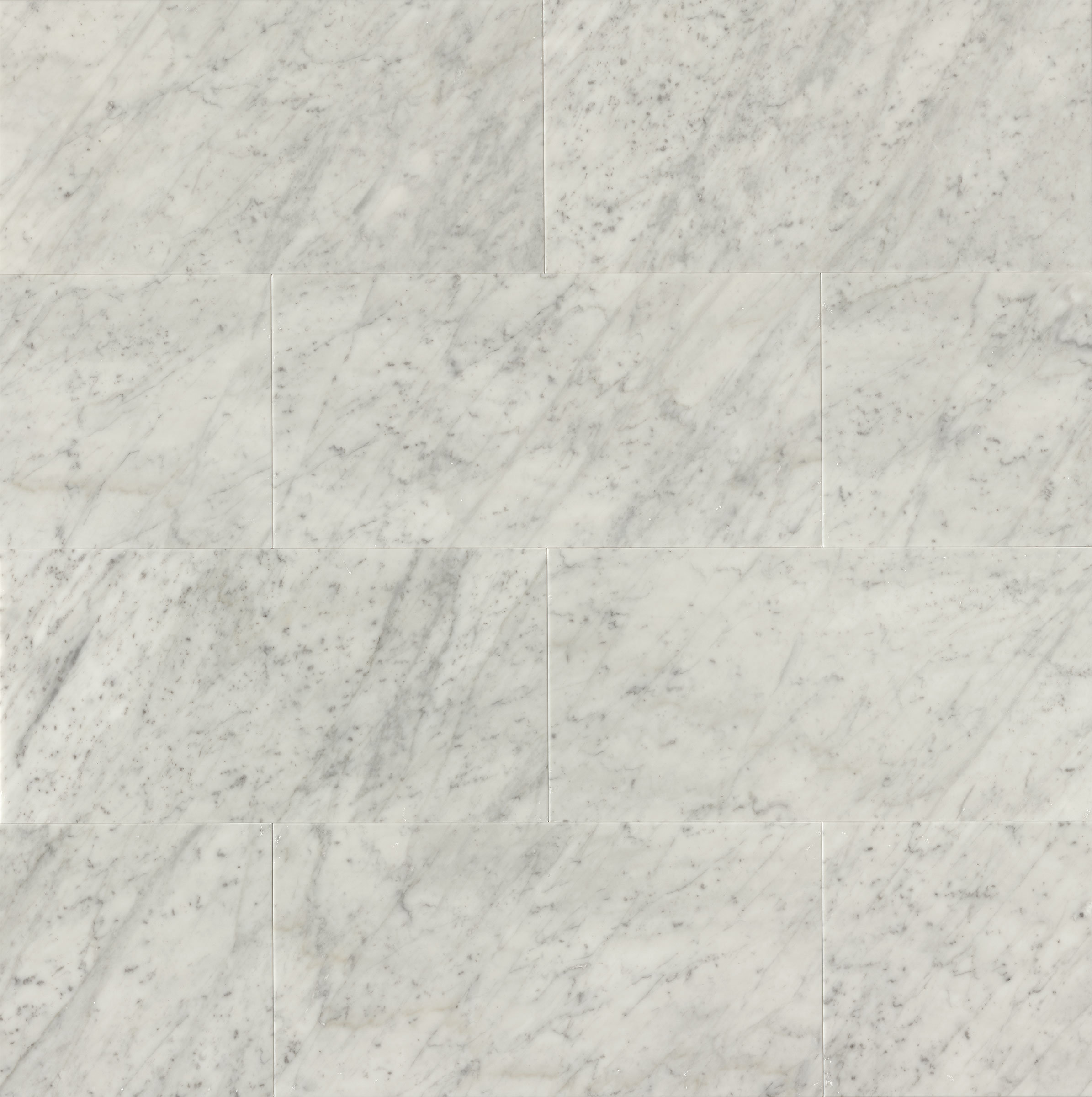 Bedrosians 12" x 24" Marble Look Wall & Floor Tile | Wayfair