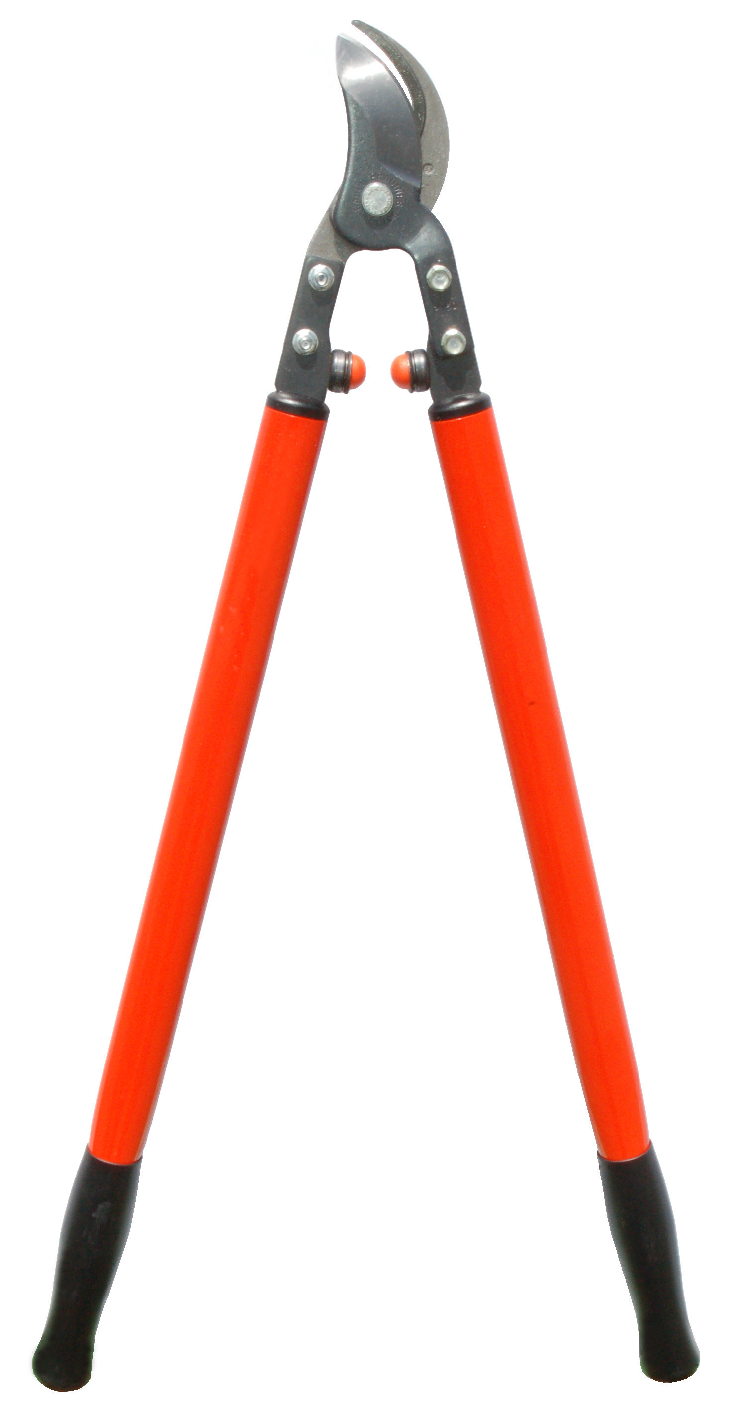 Zenport Professional Orchard and Landscape Tree Loppers | Wayfair