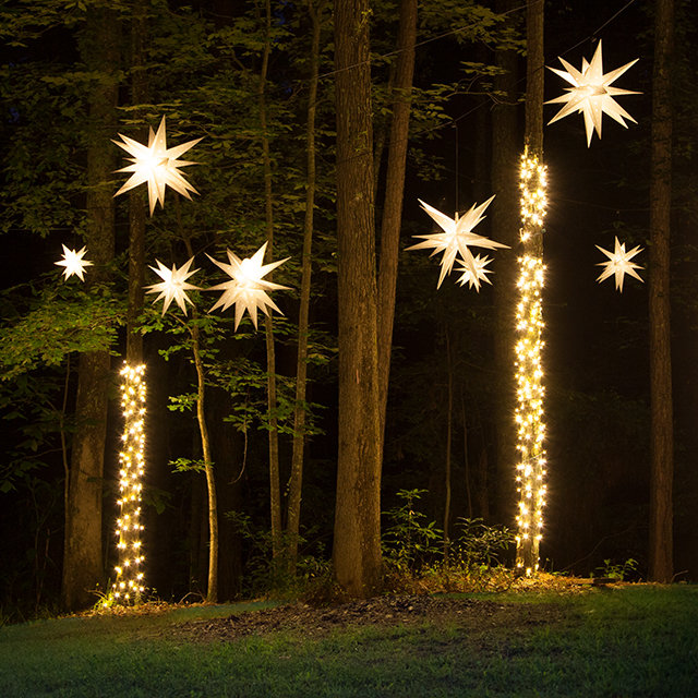 Wrought Studio Moravian Star Lighted Display & Reviews | Wayfair