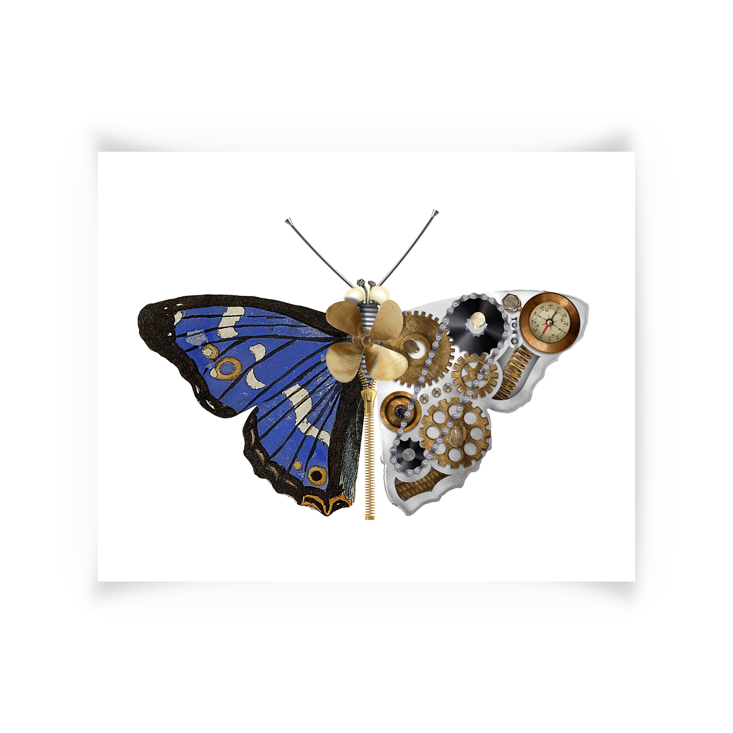Nature Creative Nature Steampunk Collection Wall Art | Wayfair
