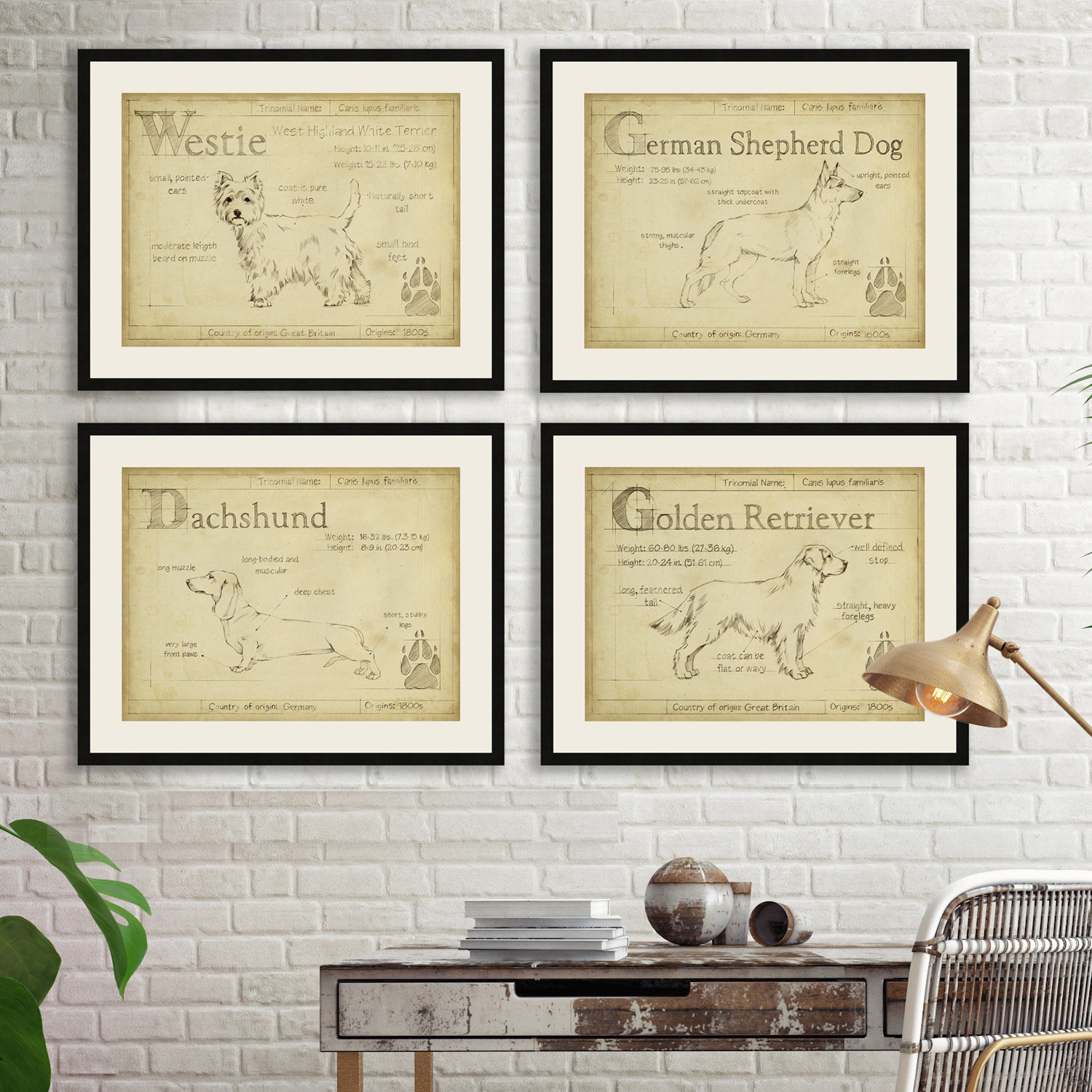 Charlton Home® Antique Dachshund - Picture Frame Print & Reviews | Wayfair