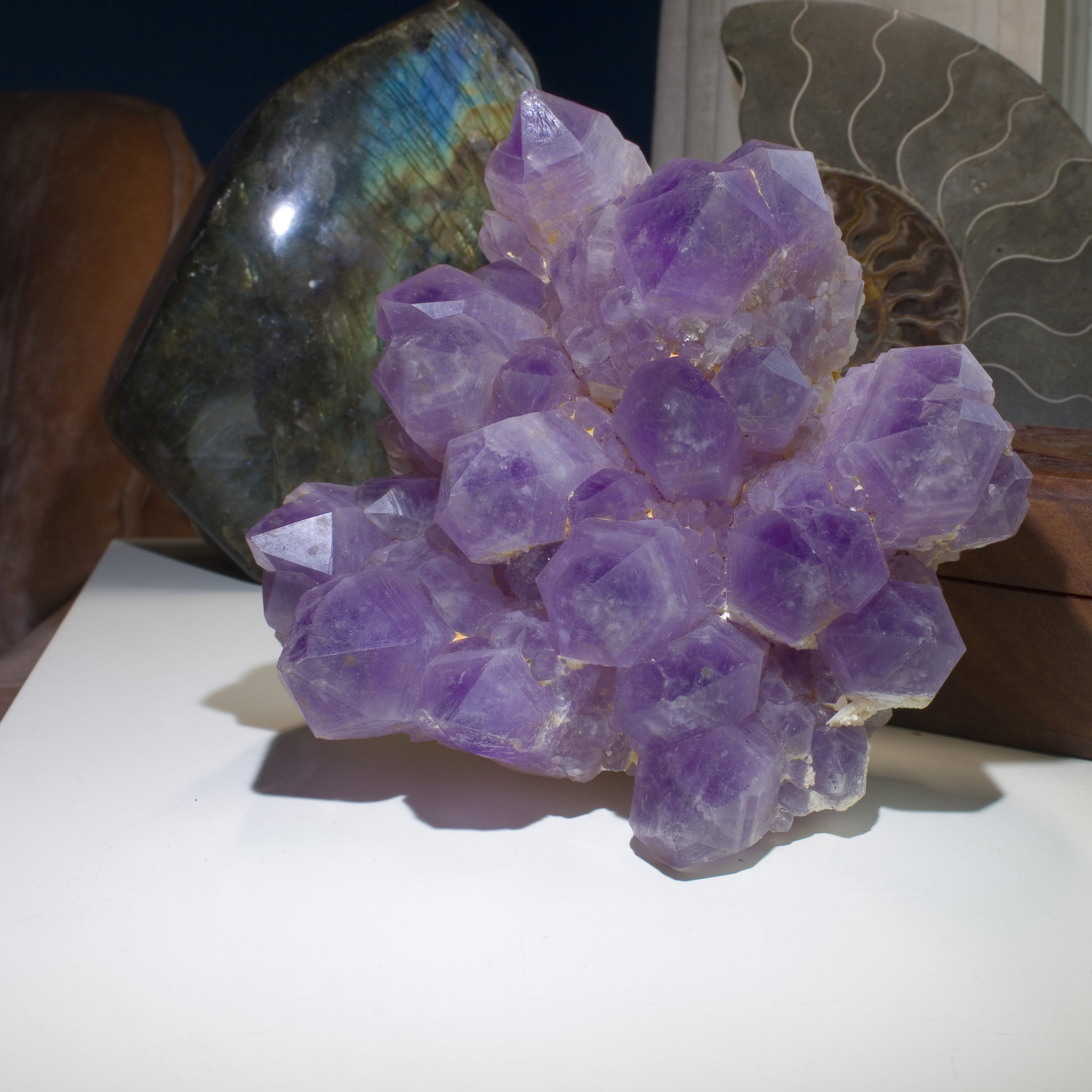 Studio Mineralia Neon Purple Amethyst Cluster | Wayfair