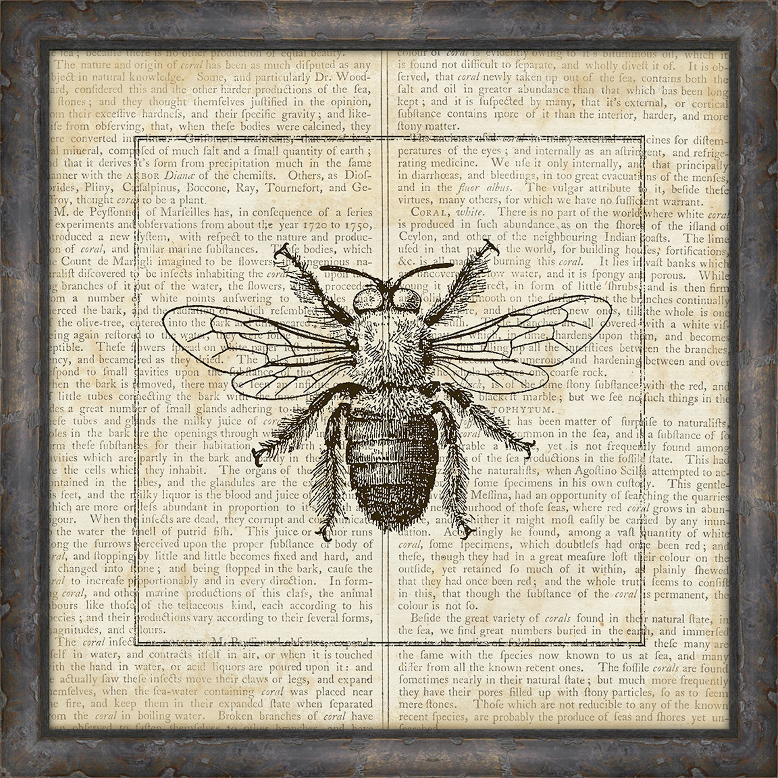 Melissa Van Hise Bees On Writing II - Picture Frame Print | Wayfair