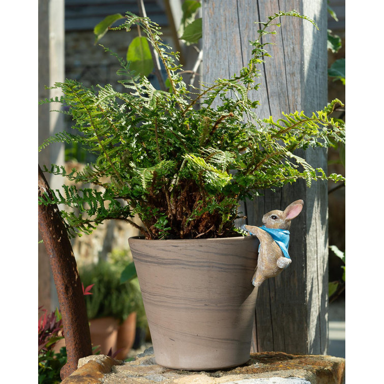 Happy Larry Kir Beatrix Potter Peter Rabbit Climbing Pot Hanger ...