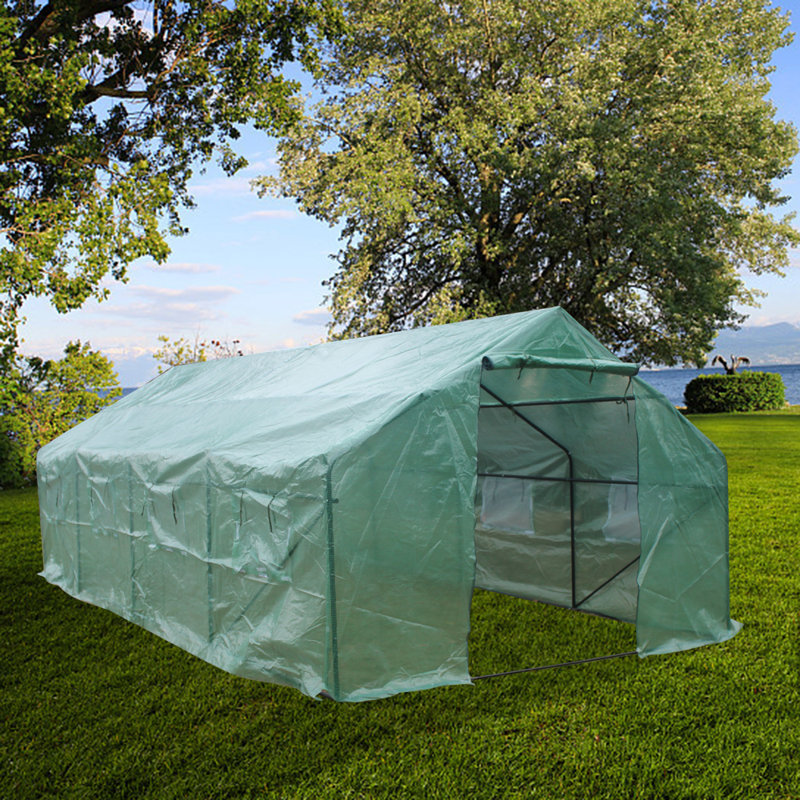 Ktaxon 10 Ft. W x 20 Ft. D Greenhouse & Reviews | Wayfair