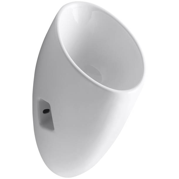 Kohler Steward Waterless Wall Mounted Urinal | Wayfair