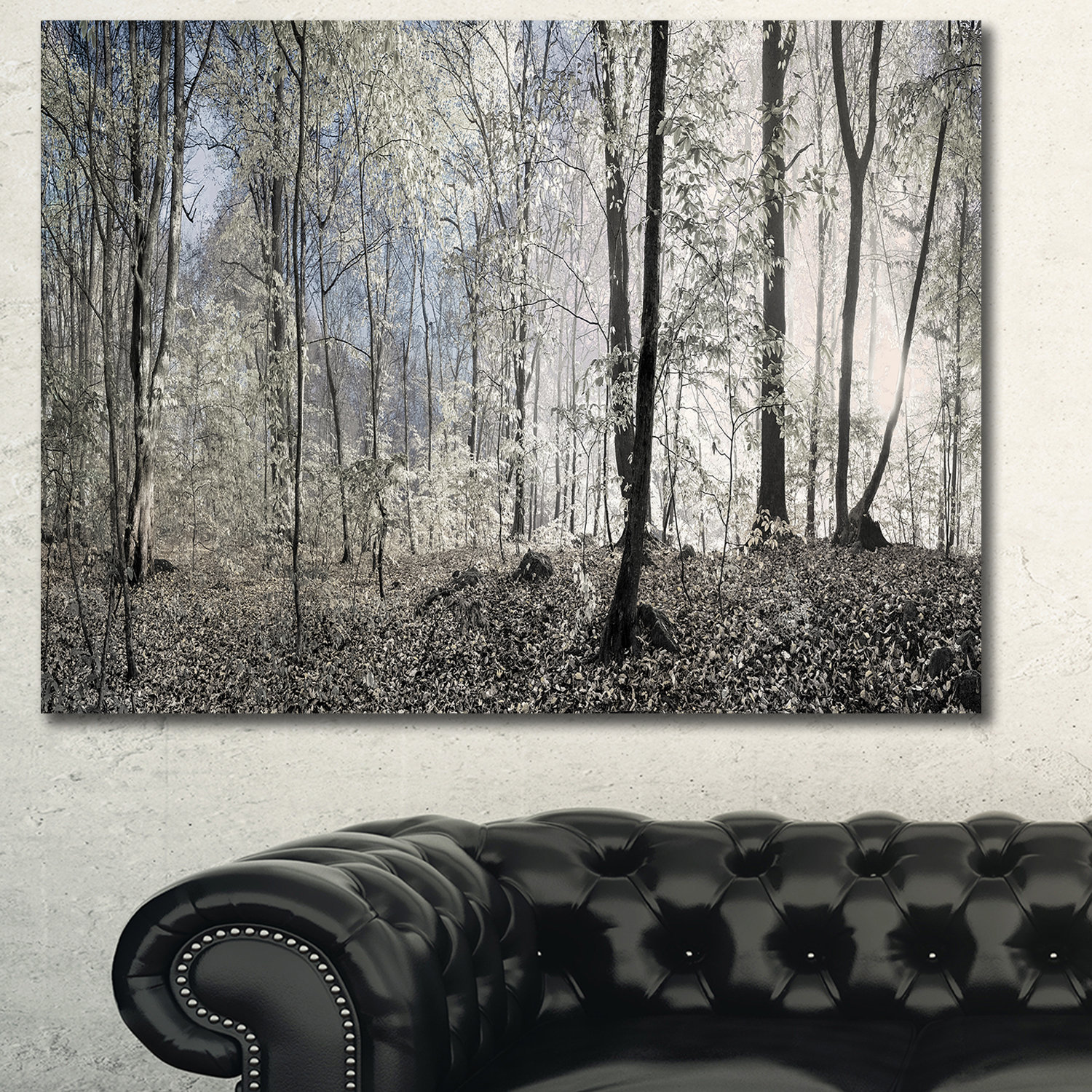 Bless international Dark Morning In Forest Panorama - Photograph ...