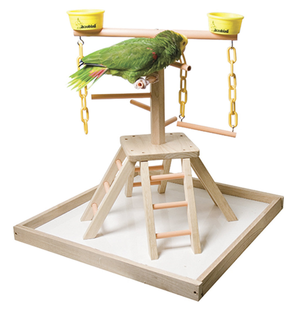 Featherland/Paradise 30'' Wood Bird Play Gym for Table Top | Wayfair