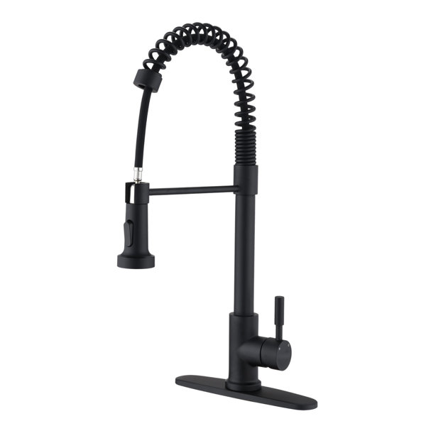 Aula Pull Down Kitchen Faucet | Wayfair